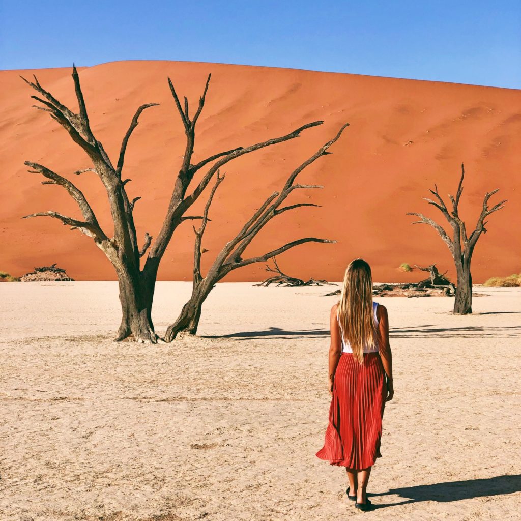 Guia del Parque Nacional de Namib-Naukluft